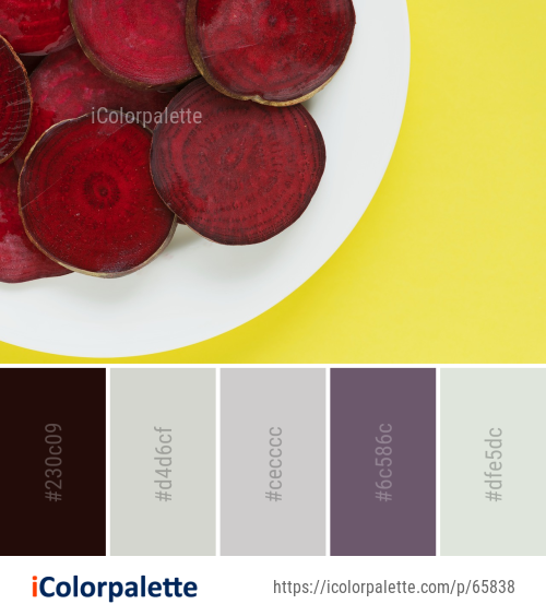 Color Palette Ideas from Beetroot Beet Superfood Image | iColorpalette