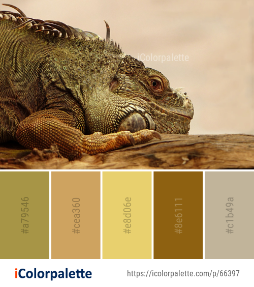 Color Palette Ideas from Reptile Scaled Fauna Image | iColorpalette