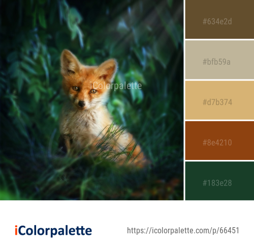 Color Palette Ideas from Fox Red Wildlife Image | iColorpalette