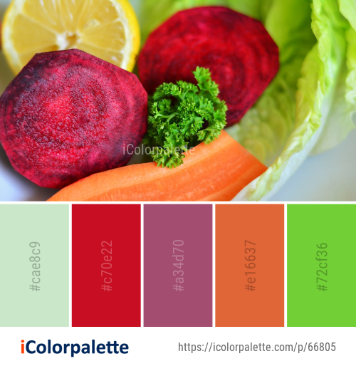 Color Palette Ideas from Natural Foods Vegetable Fruit Image ...