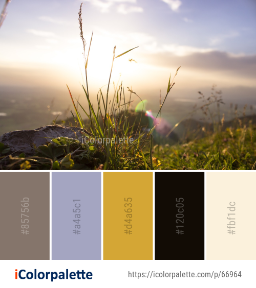 Color Palette Ideas from Sky Morning Grass Image | iColorpalette