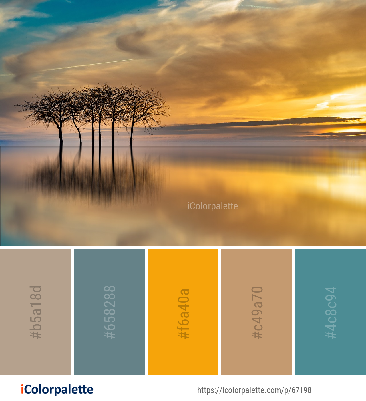Color Palette Ideas from Reflection Sky Horizon Image | iColorpalette
