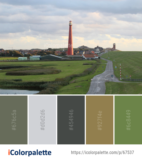 Color Palette Ideas from Sky Tower Field Image | iColorpalette