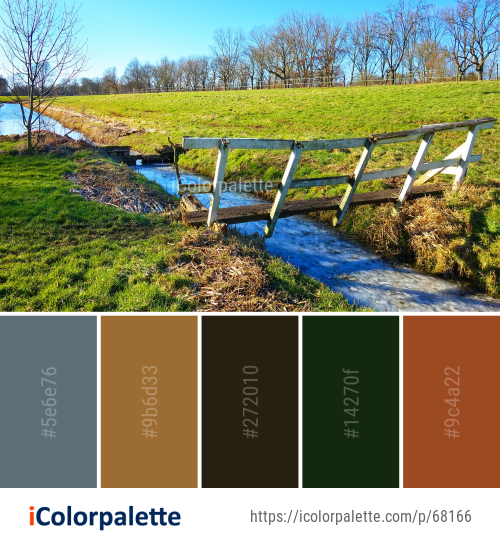 Color Palette Ideas from Water Nature Reflection Image | iColorpalette