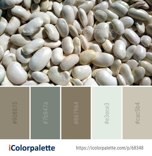 Color Palette Ideas from Pebble Commodity Common Bean Image | iColorpalette