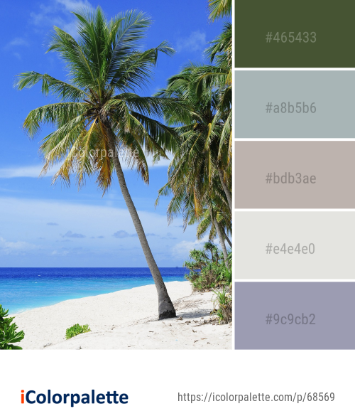60+ Caribbean Color Palette ideas in 2026 | iColorPalette