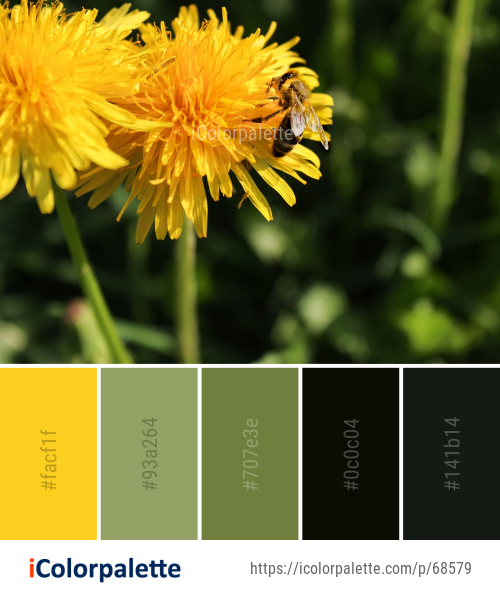 Color Palette Ideas from Flower Yellow Honey Bee Image | iColorpalette