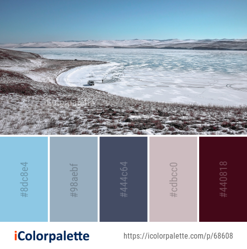 Color Palette Ideas from Snow Winter Tundra Image | iColorPalette