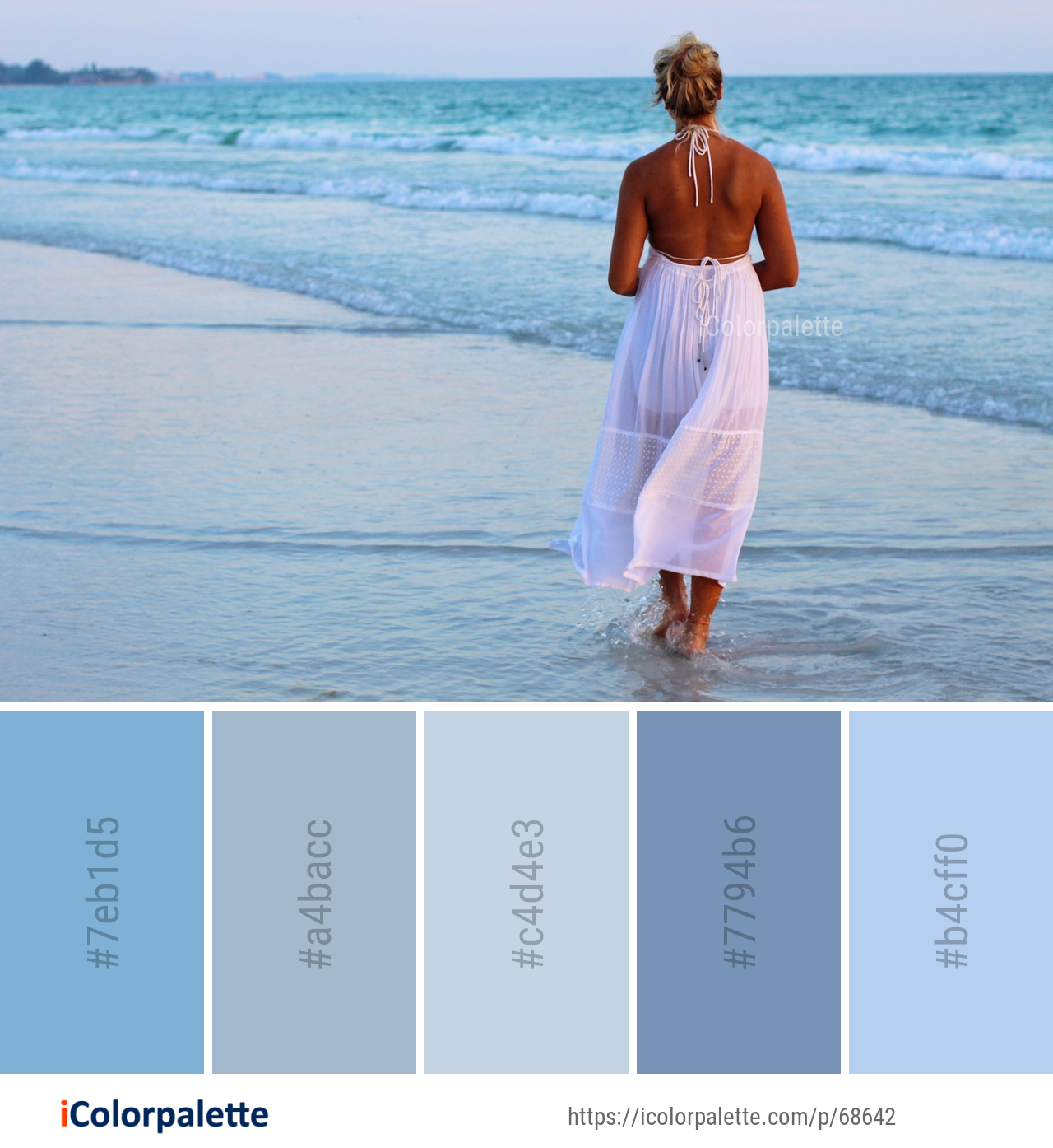 Color Palette Ideas from Sea Body Of Water Beach Image | iColorPalette