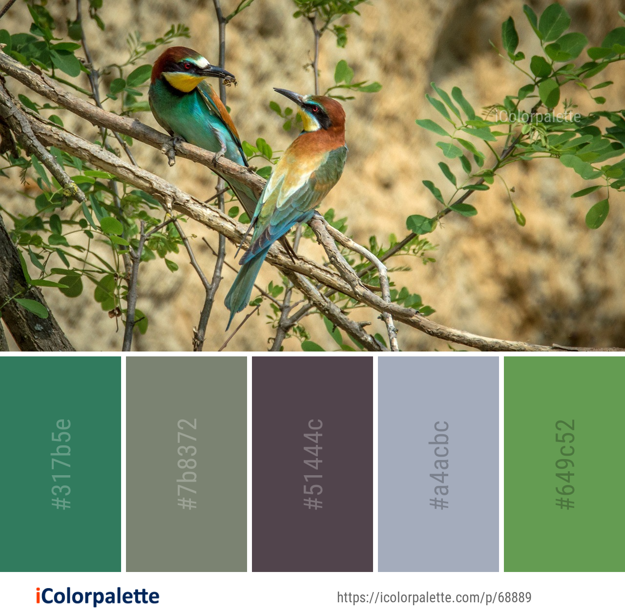 Color Palette Ideas from Bird Ecosystem Fauna Image | iColorpalette