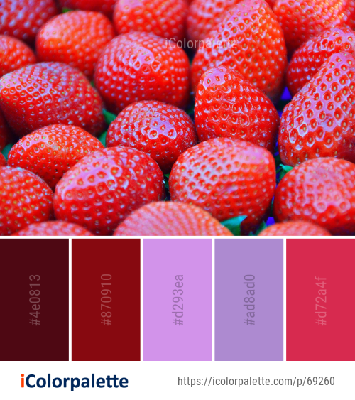 Color Palette Ideas from Strawberry Natural Foods Strawberries Image ...