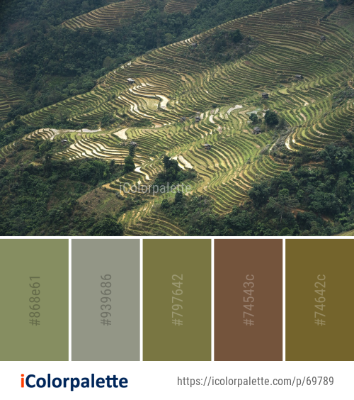 21 Terrace Color Palette ideas in 2025 | iColorpalette