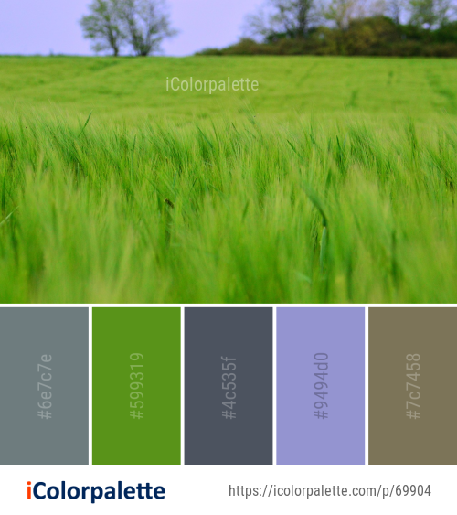 Color Palette Ideas from Grassland Grass Field Image | iColorpalette