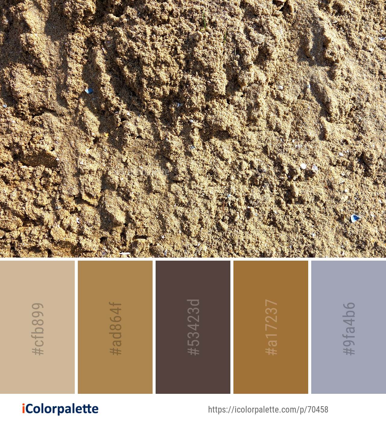 Color Palette Ideas from Soil Rock Geology Image | iColorpalette