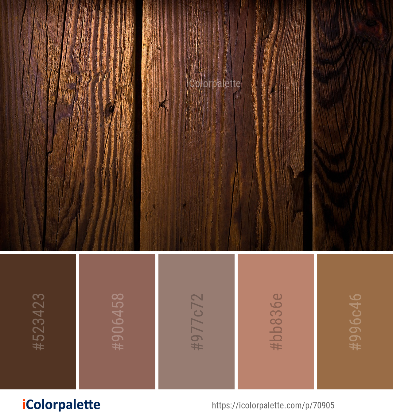 Wood Color Palette 104+ Thousand Wood Color Palette Royalty Free