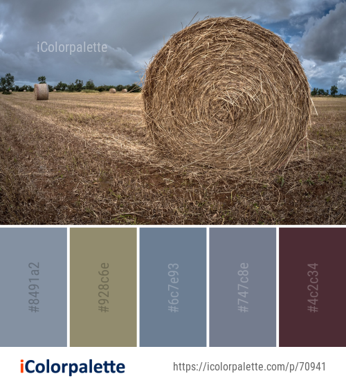Color Palette Ideas from Hay Field Straw Image | iColorpalette