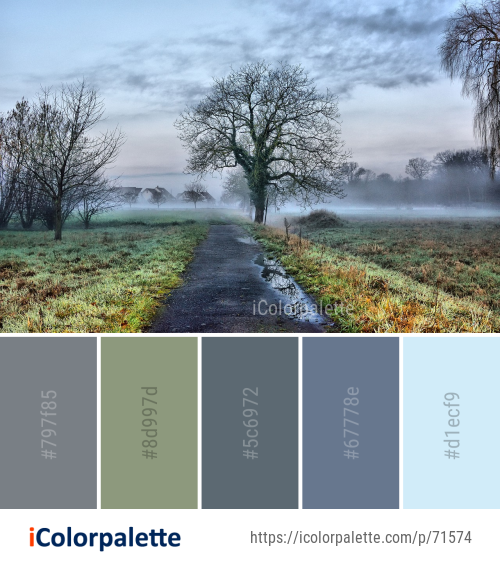 Color Palette Ideas from Tree Mist Water Image | iColorpalette