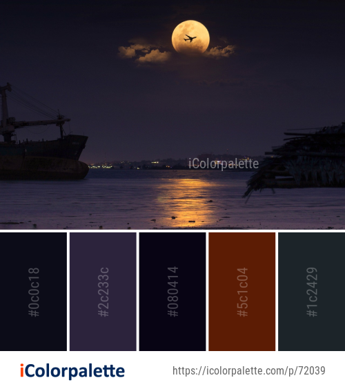 29 Full Moon Color Palette ideas in 2025 | iColorpalette