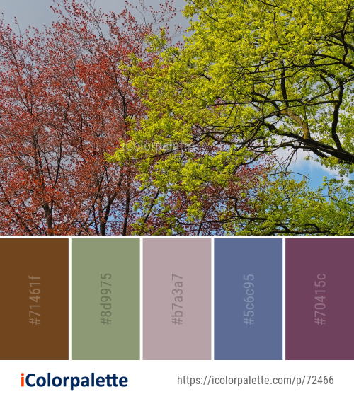 Color Palette Ideas from Tree Nature Leaf Image | iColorPalette