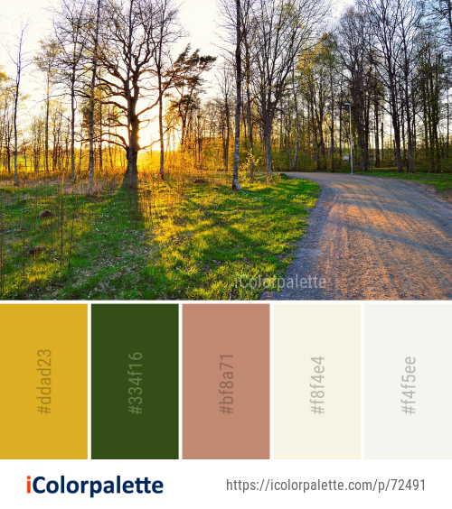 Color Palette Ideas from Nature Tree Path Image | iColorpalette