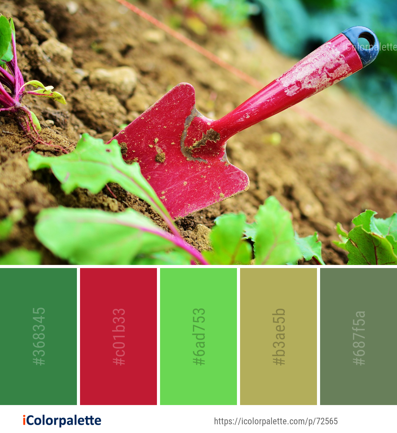 Color Palette Ideas from Flora Leaf Soil Image | iColorpalette