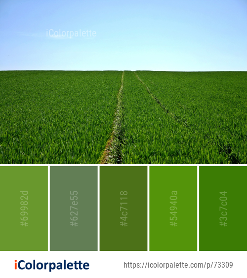 Color Palette Ideas from Grassland Field Agriculture Image | iColorpalette