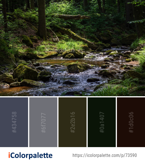 Color Palette Ideas from Stream Water Vegetation Image | iColorpalette