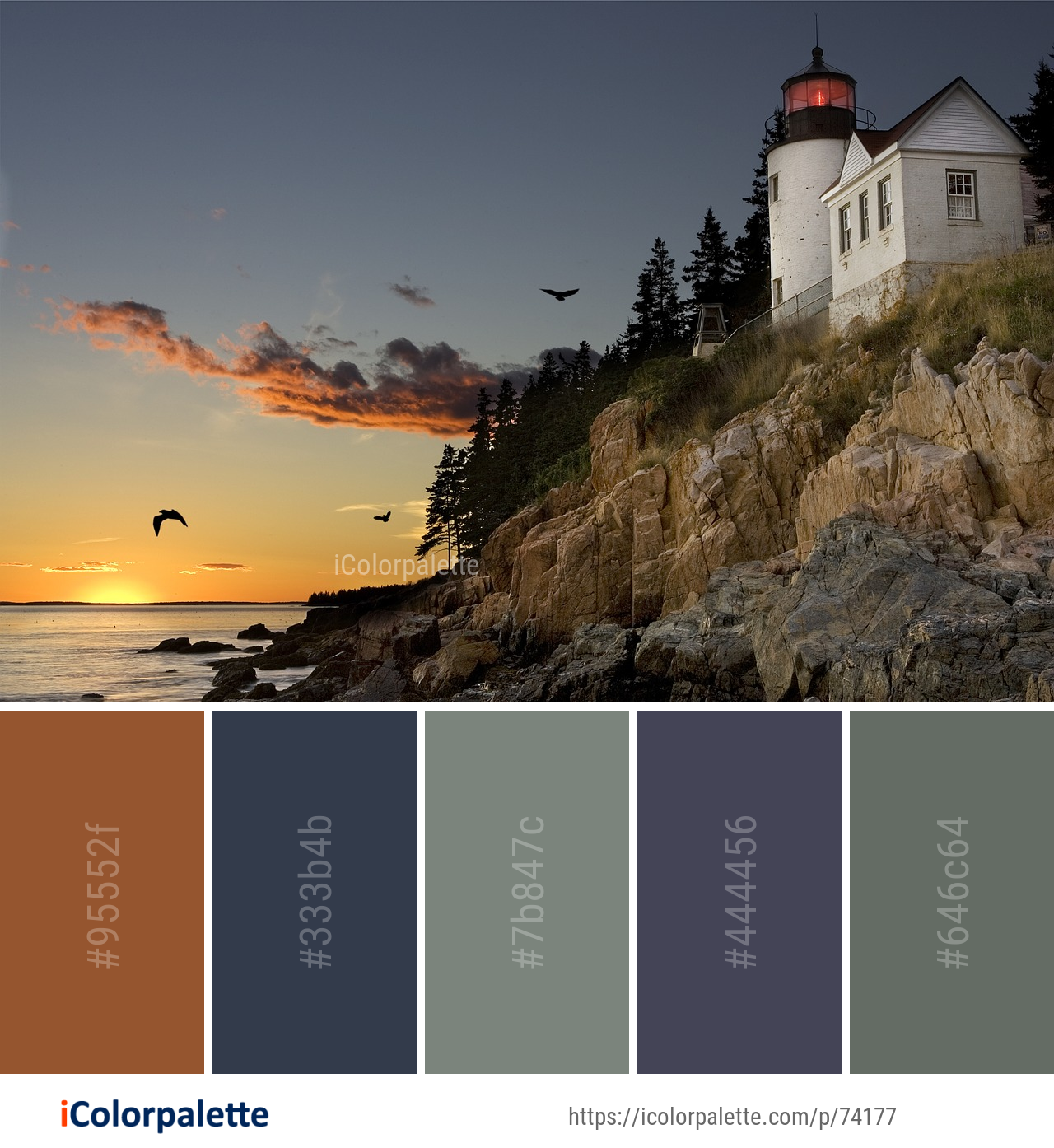 Color Palette Ideas from Sky Sea Coast Image | iColorpalette