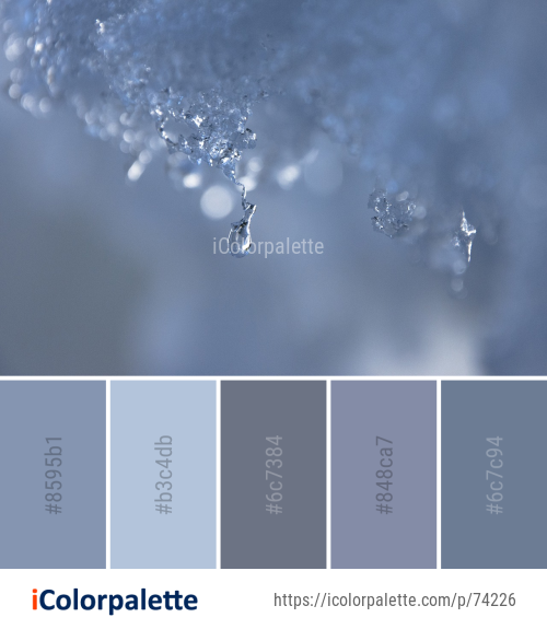Color Palette Ideas from Water Freezing Drop Image | iColorpalette