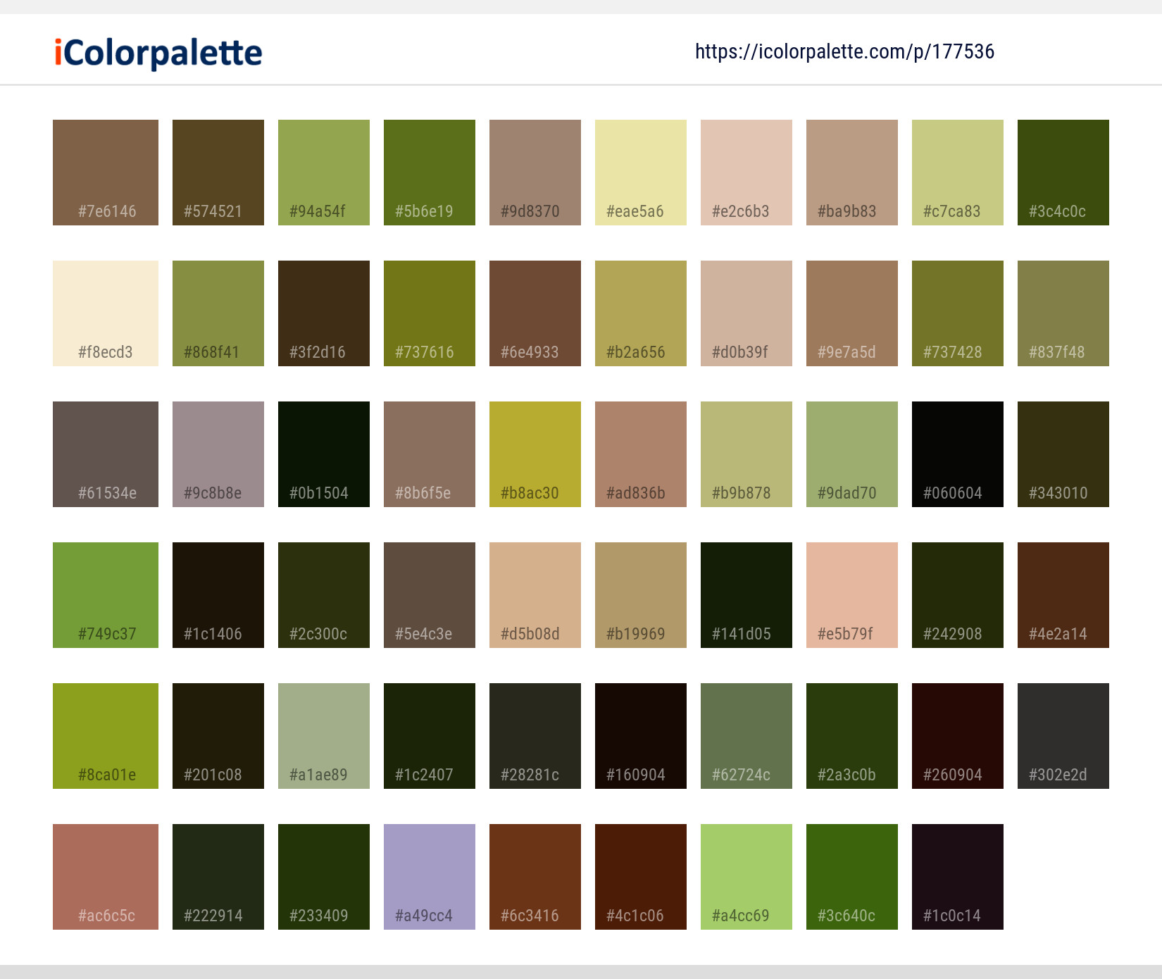 Color Palette Ideas from Fauna Capybara Mammal Image | iColorpalette