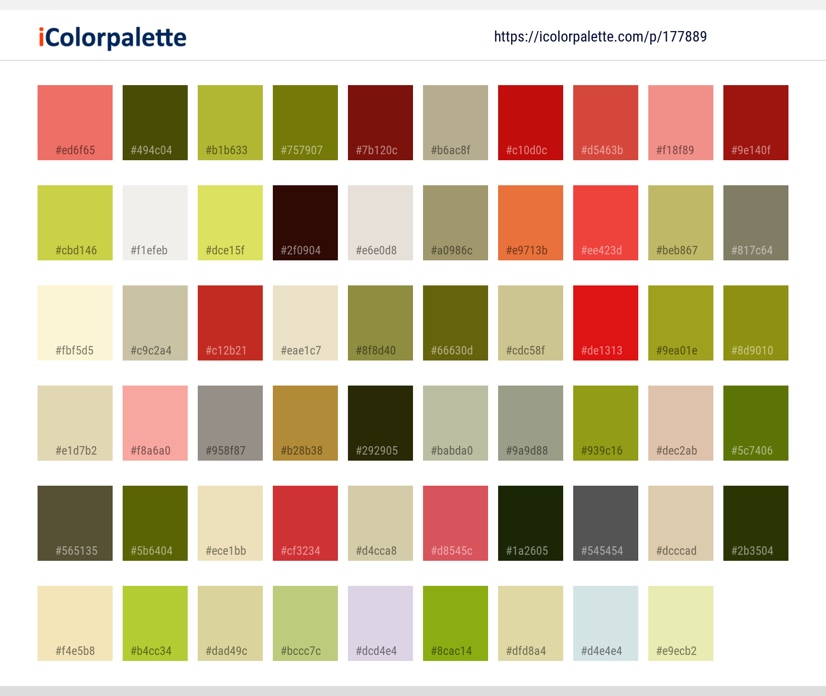 Color Palette Ideas from Wreath Decor Image | iColorpalette