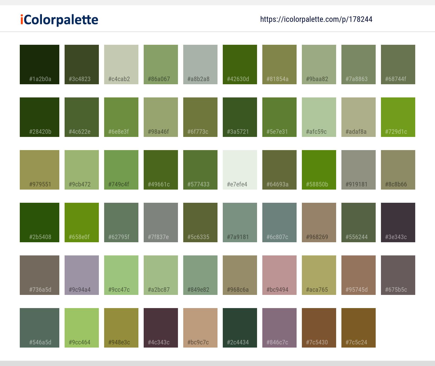 Color Palette Ideas from Vegetation Grass Plant Image | iColorpalette