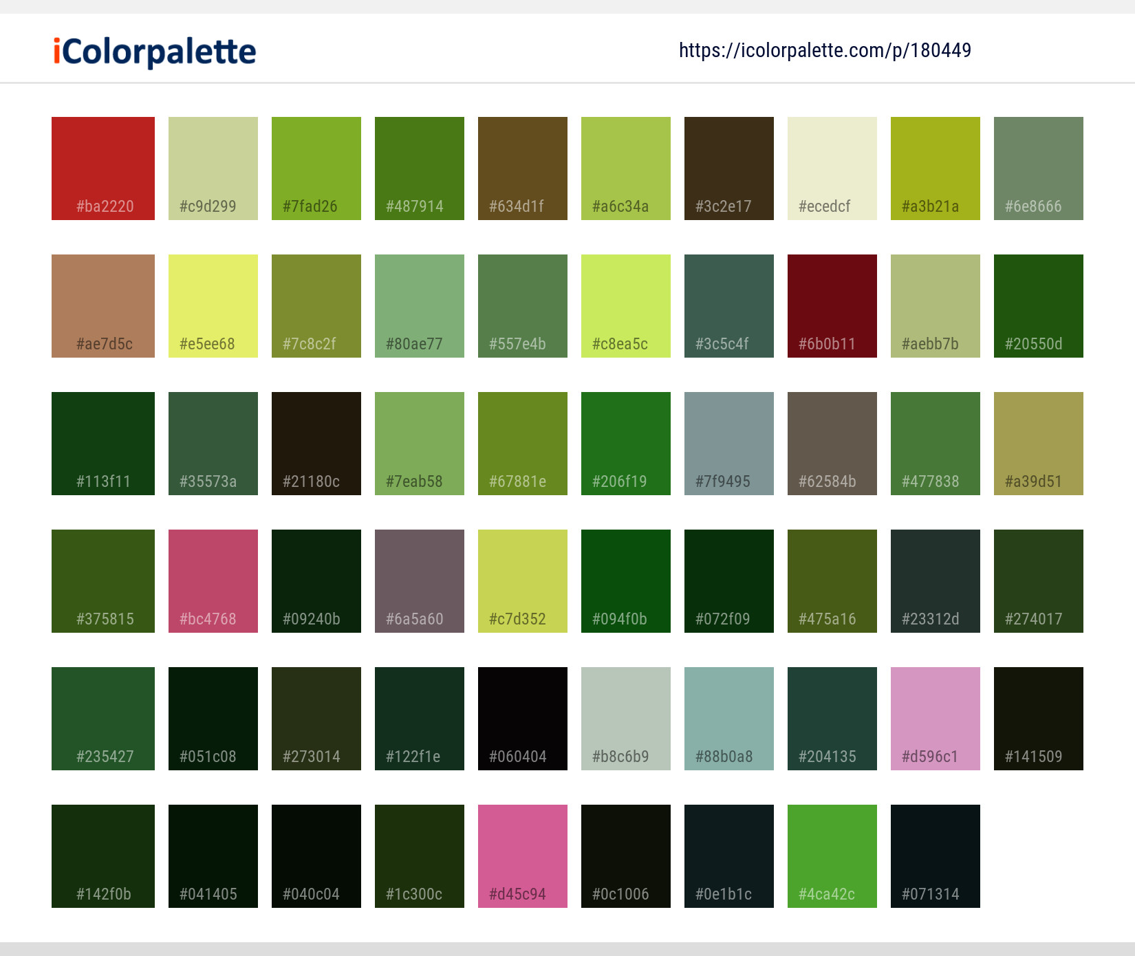 Color Palette Ideas from Vegetation Garden Botanical Image | iColorpalette