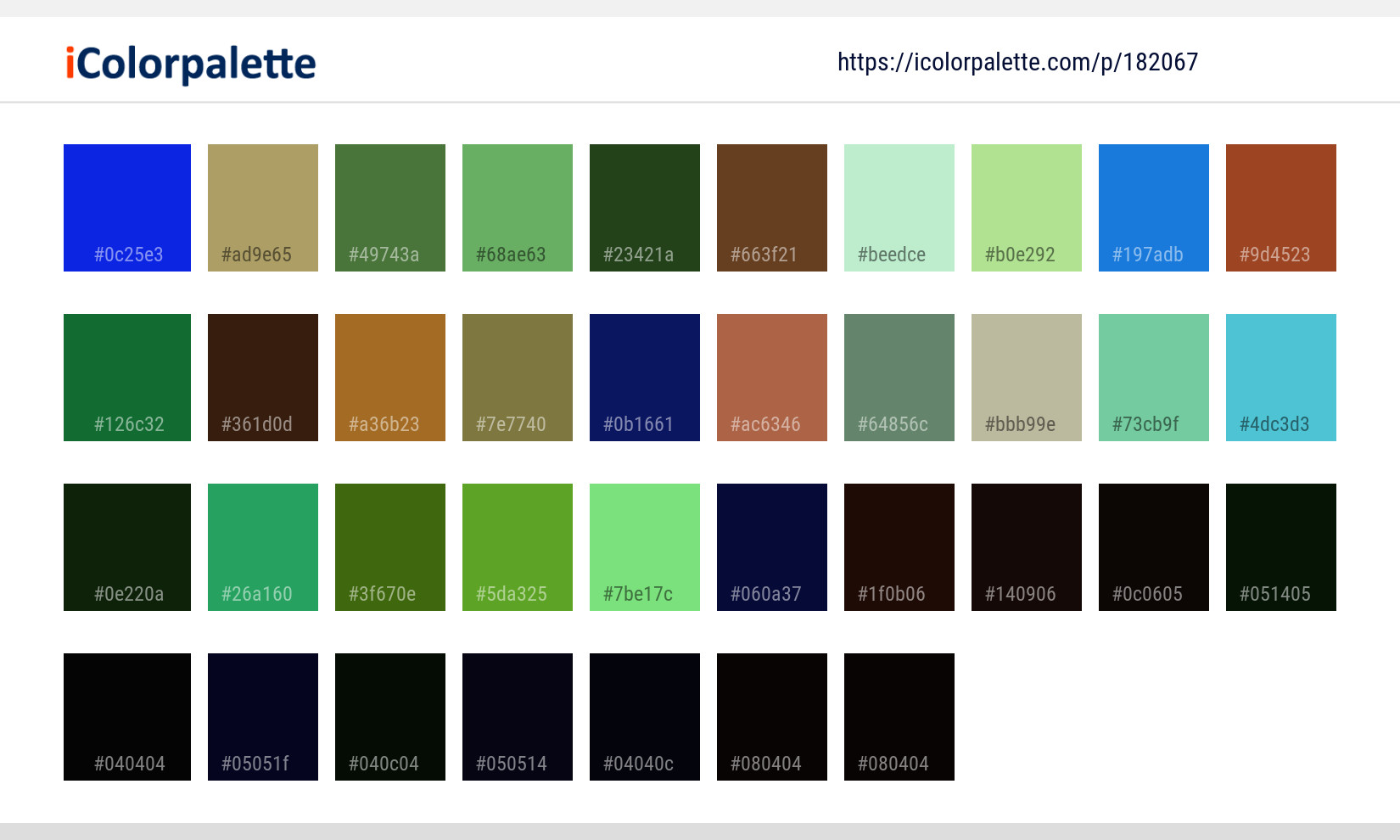 Color Palette Ideas from Feather Peafowl Close Up Image | iColorpalette