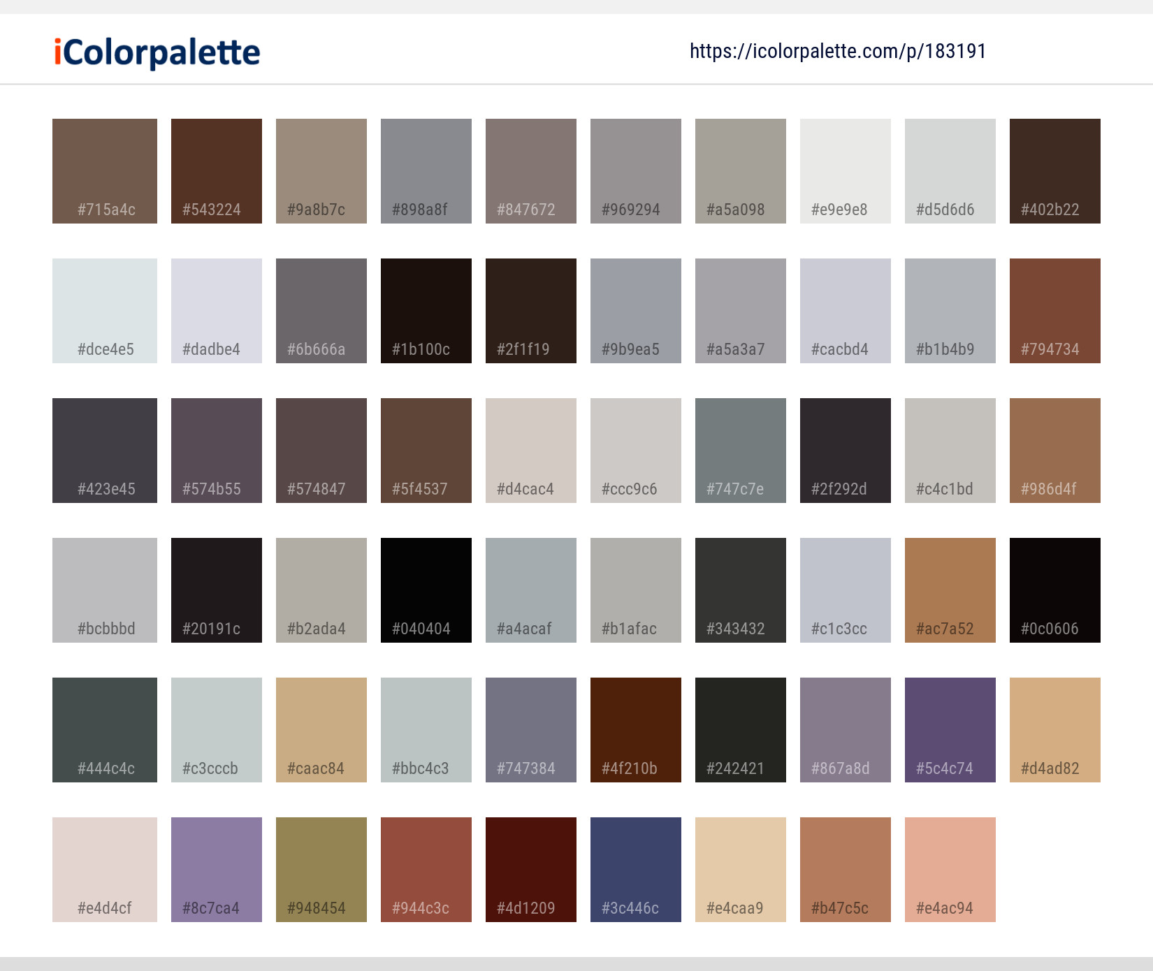 Color Palette Ideas from Fauna Mammal Rabbit Image | iColorpalette