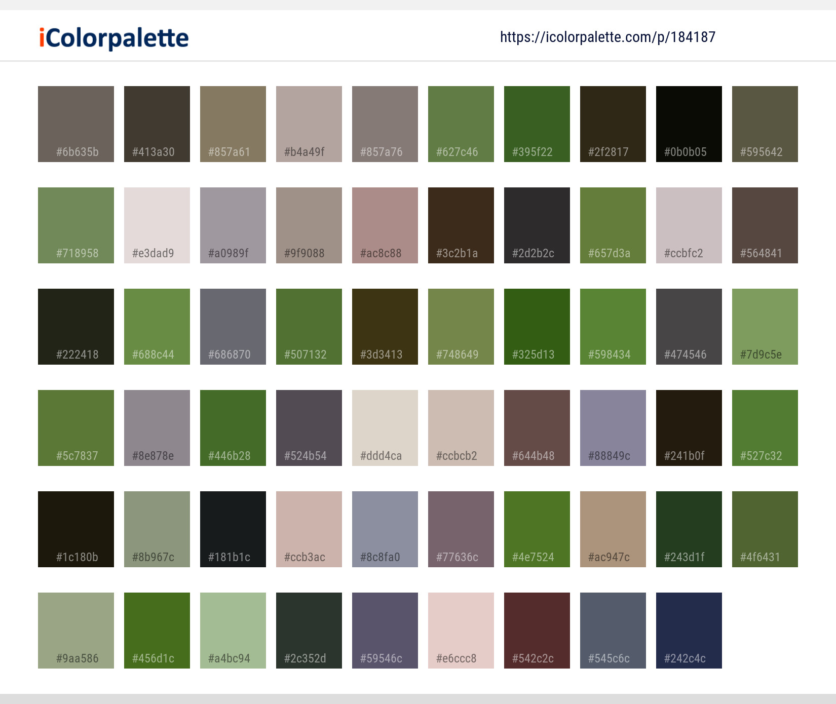 Color Palette Ideas from Otter Mammal Fauna Image | iColorpalette