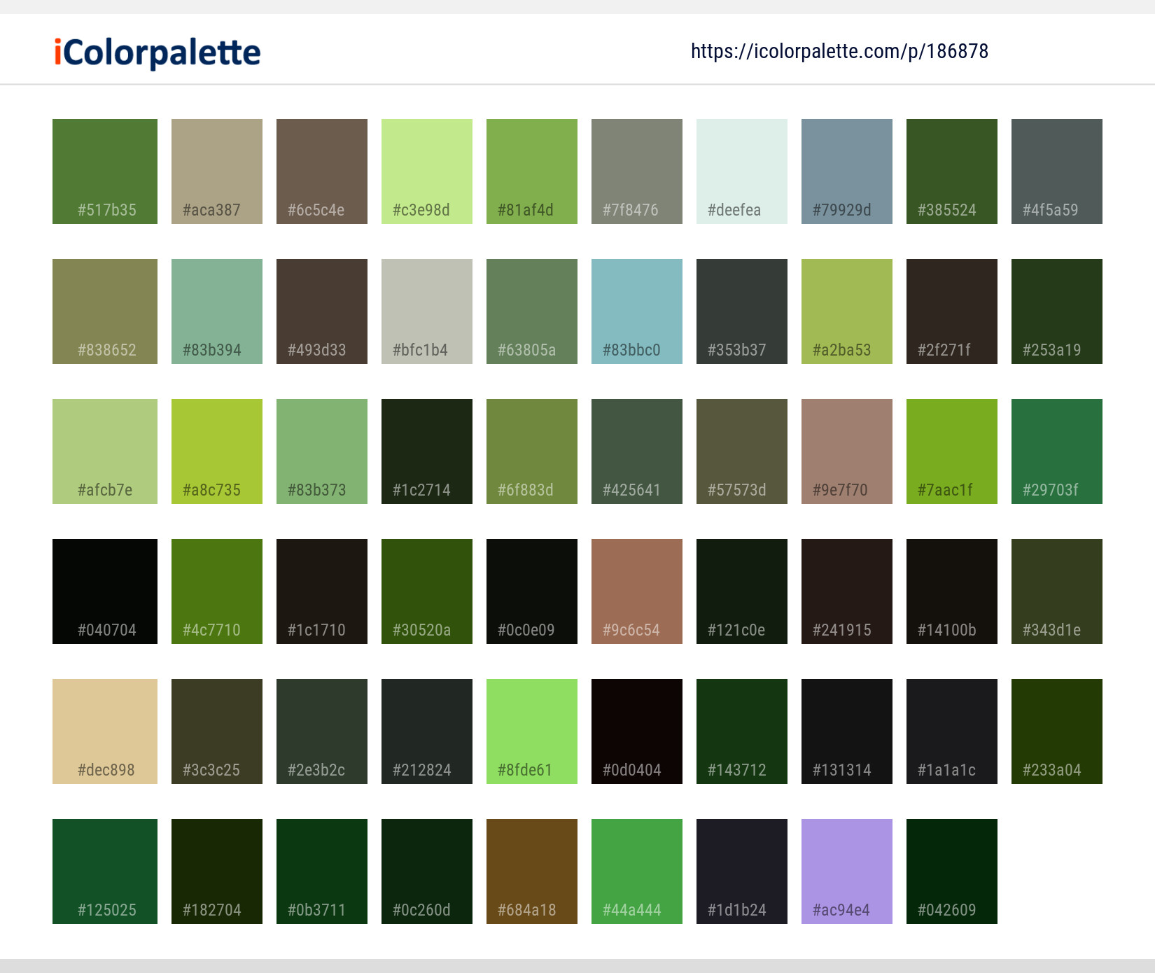 Color Palette Ideas from Ecosystem Nature Reserve Wilderness Image ...
