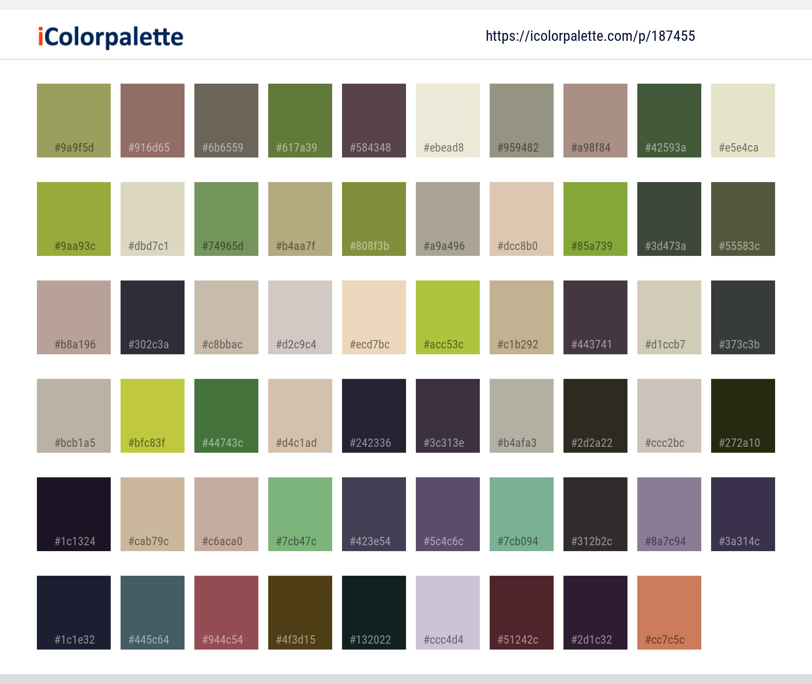 Color Palette Ideas from Path Wall Walkway Image | iColorpalette