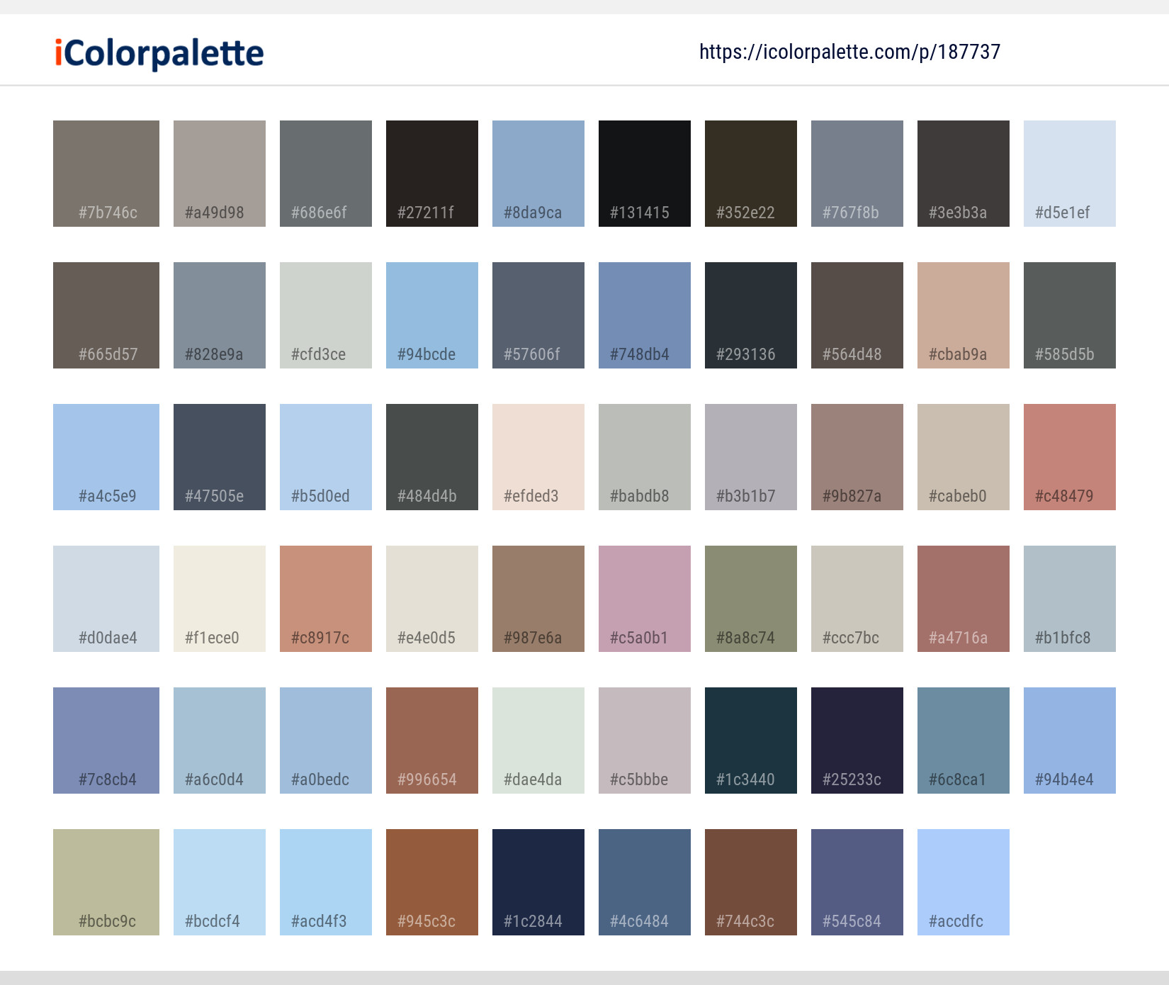 Color Palette Ideas from Otter Mammal Fauna Image | iColorPalette