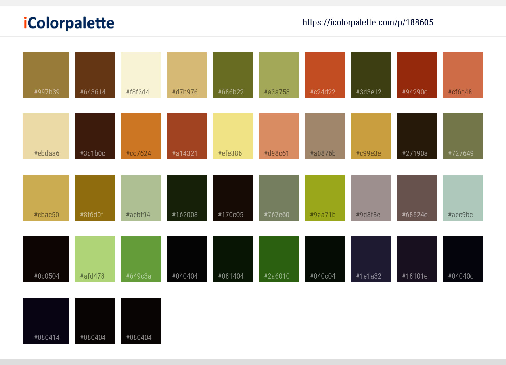 Color Palette Ideas from Fauna Squirrel Mammal Image | iColorpalette