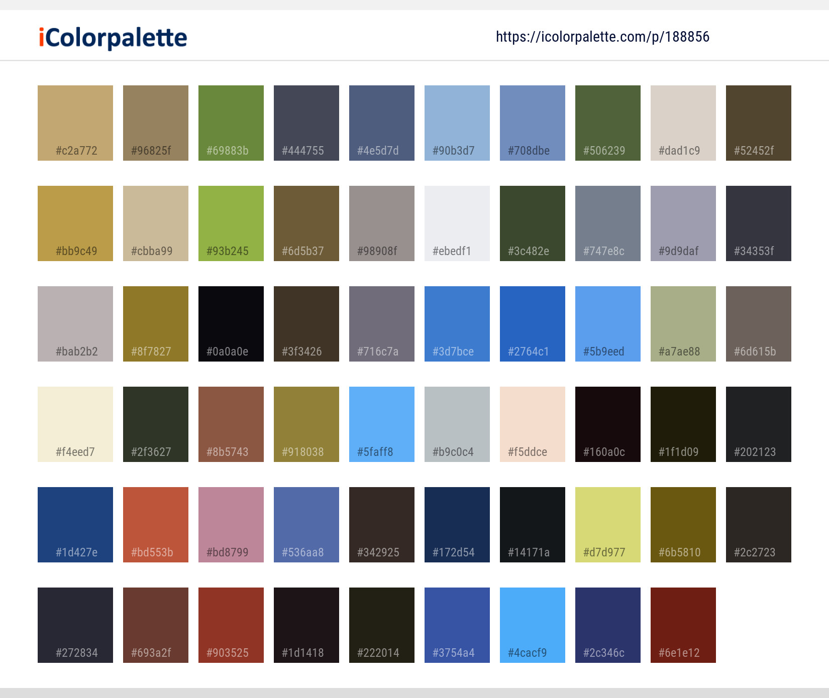 Color Palette Ideas from Pelican Bird Seabird Image | iColorpalette
