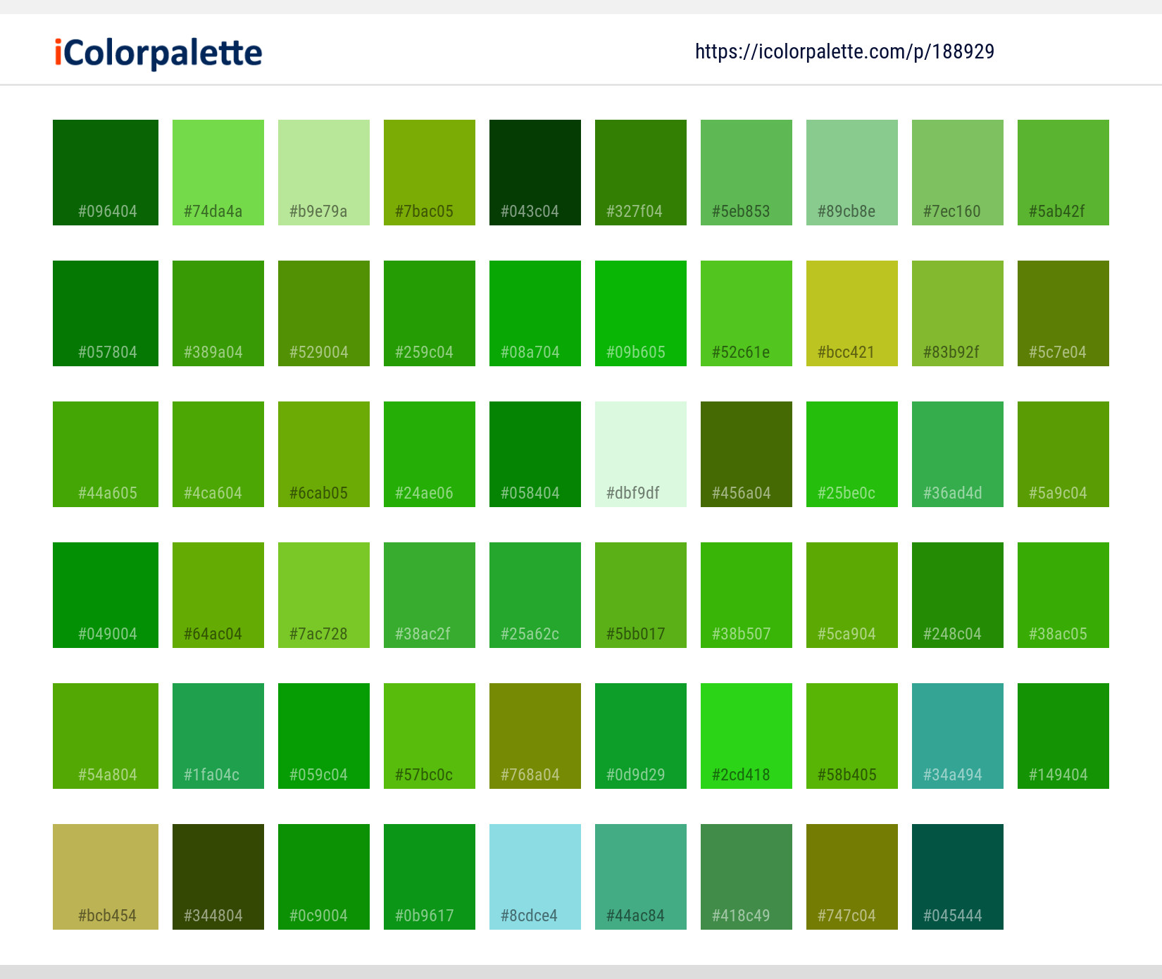 Color Palette Ideas from Water Green Dew Image | iColorpalette