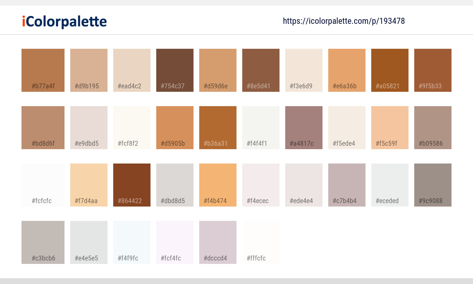 Color Palette Ideas from Branch Pattern Twig Image | iColorpalette