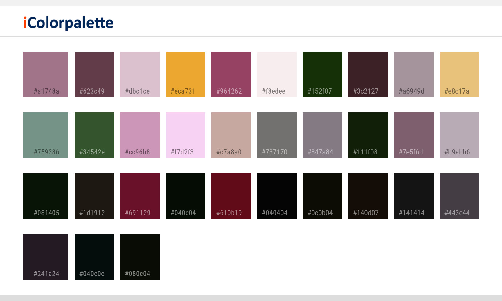 Color Palette Ideas from Flower Flora Plant Image | iColorpalette