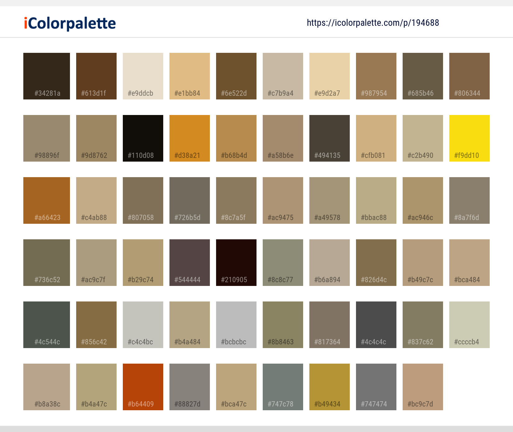 Color Palette Ideas from Close Up Macro Photography Wolf Spider Image ...