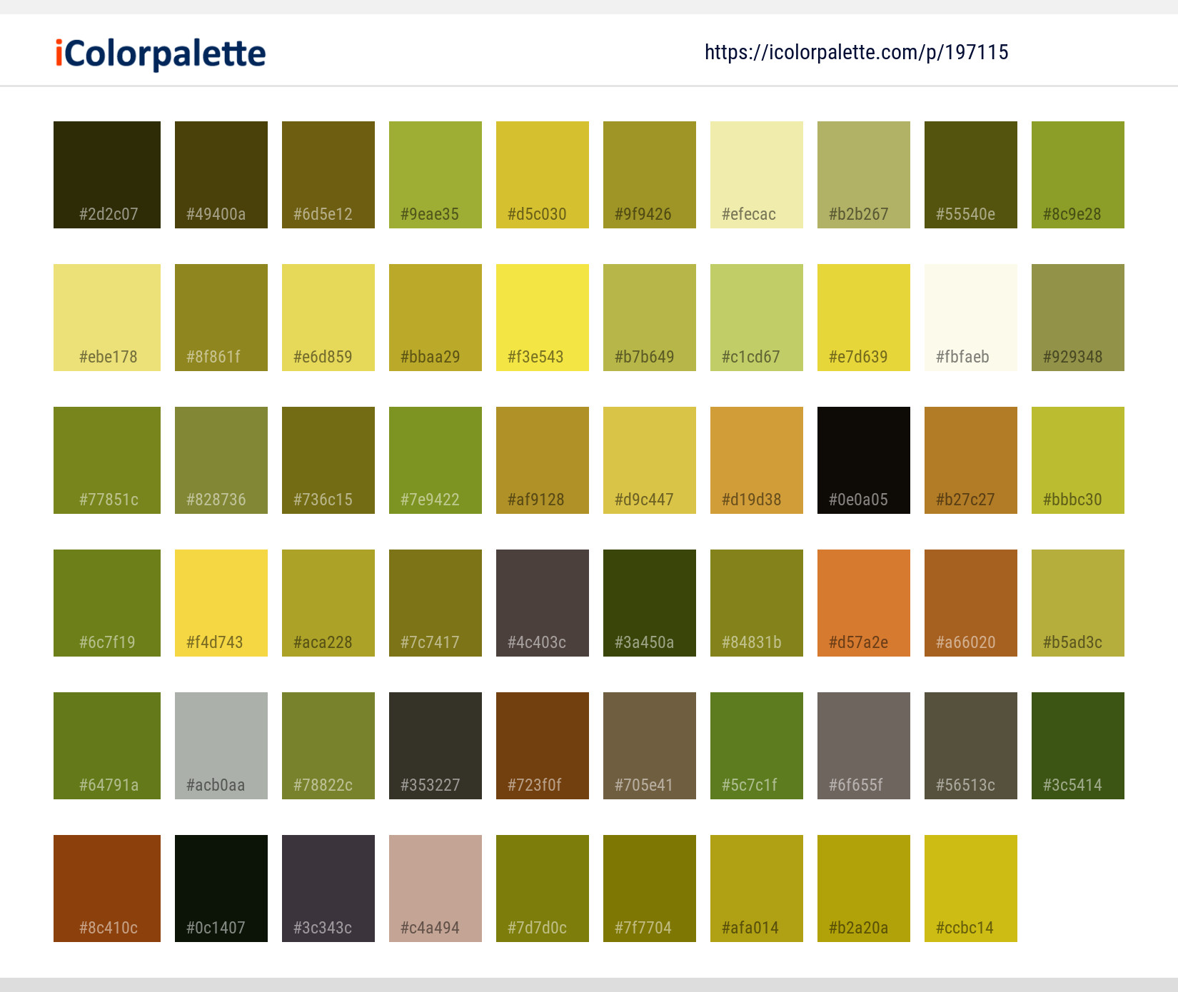 Color Palette Ideas from Ranidae Amphibian Toad Image | iColorpalette