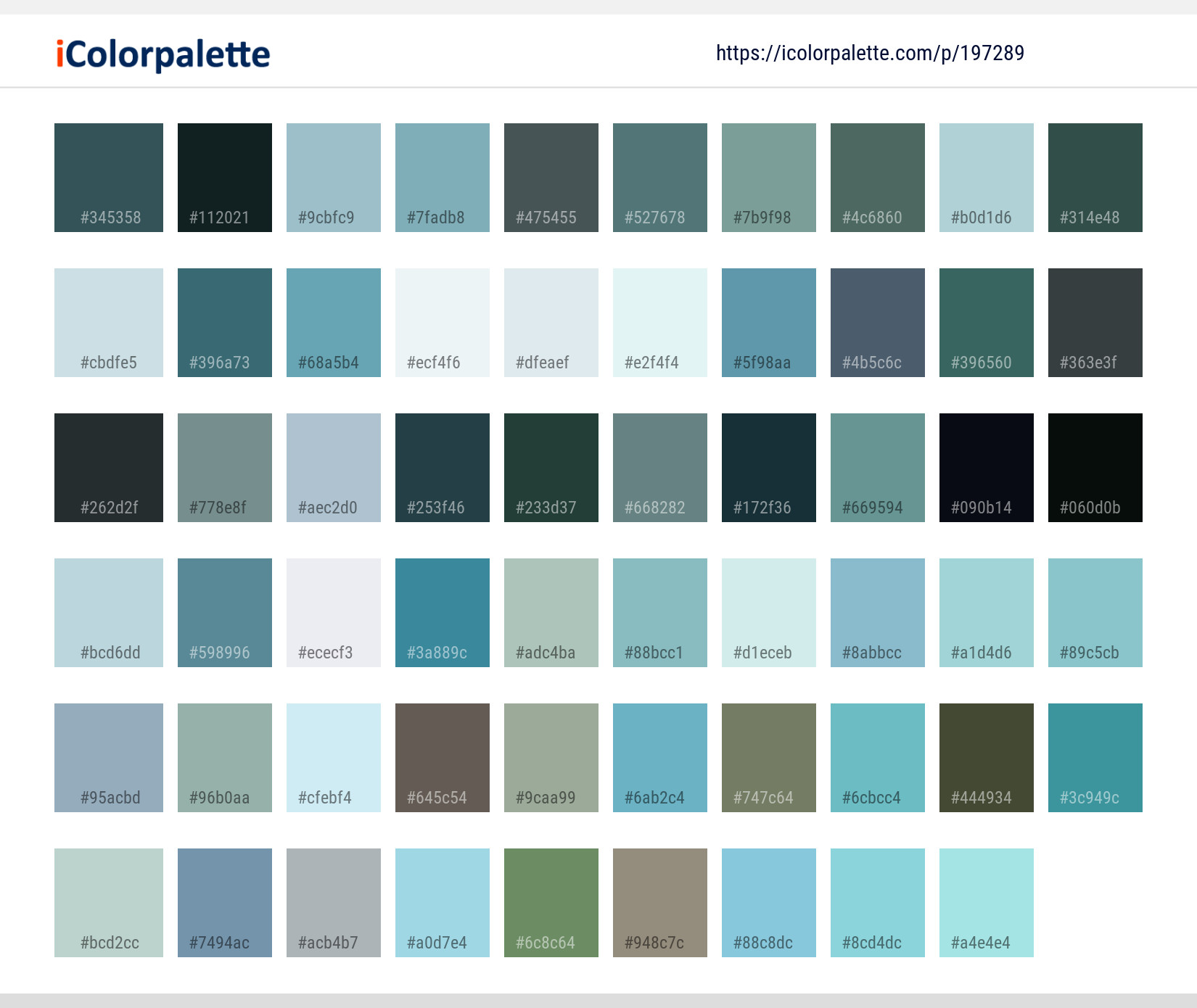 Color Palette Ideas from Winter Tree Spruce Image | iColorpalette