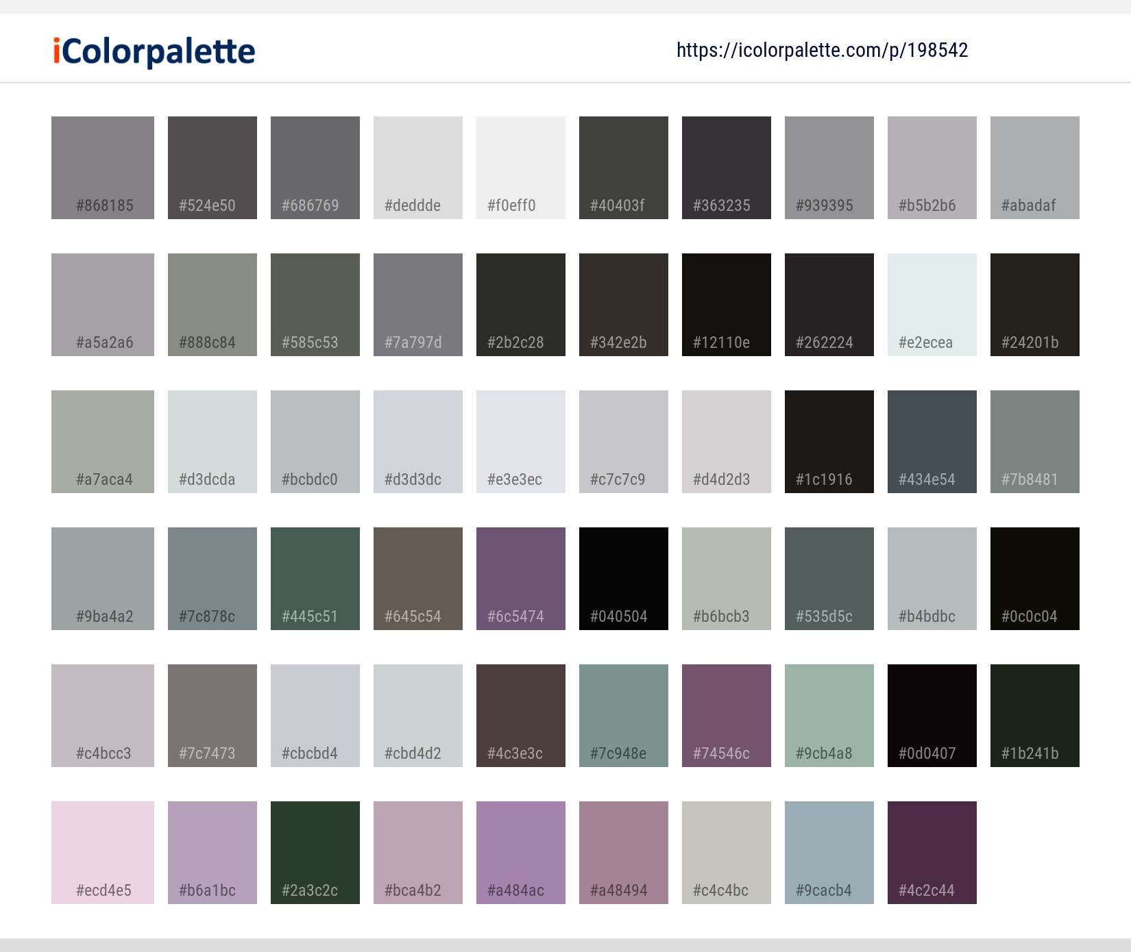 Color Palette Ideas from Tree Branch Black And White Image | iColorpalette