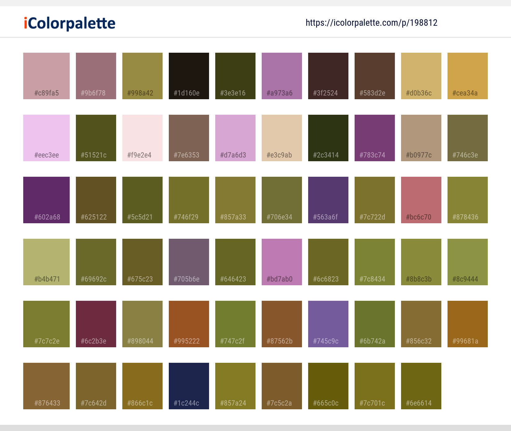 Color Palette Ideas from Bee Honey Nectar Image | iColorpalette