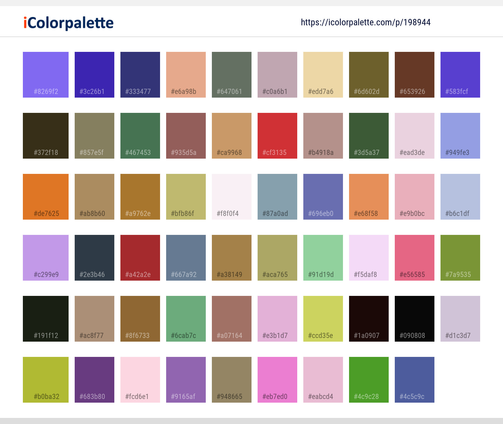 Color Palette Ideas from Flower Cut Flowers Arranging Image | iColorpalette